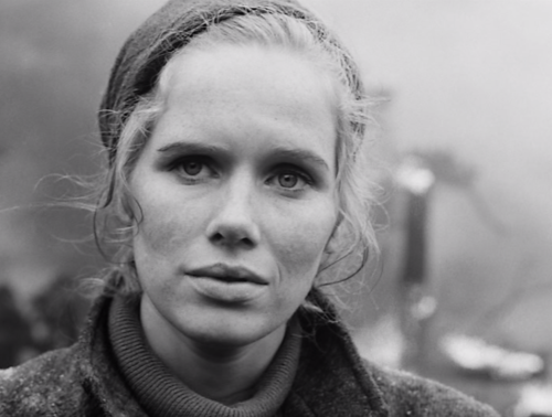 La honte | Ingmar Bergman, 1968 | Cinepsy - Cinéma et psychanalyse